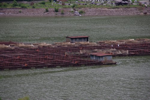 Baboo Hausmeister » Crescatoria de păstrăvi de pe lacul Bradisor